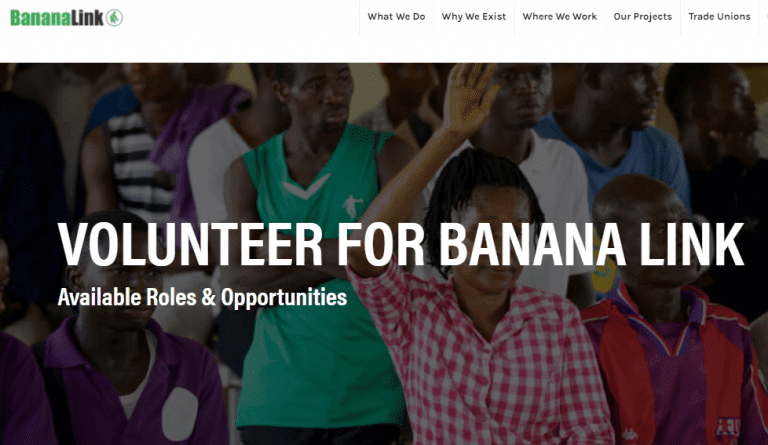20 Best Websites For Volunteer Translators (Practice Your Skills)